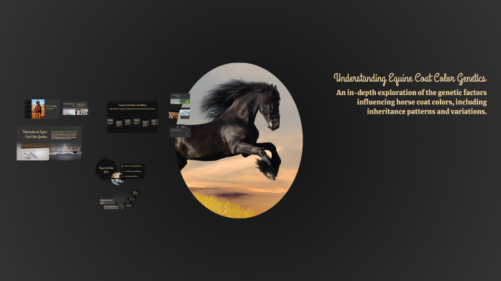 Understanding Equine Coat Color Genetics by Leland Rodgers on Prezi