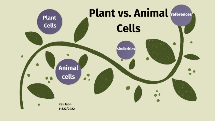 Plant vs. Animal Cells by Kali Ison on Prezi