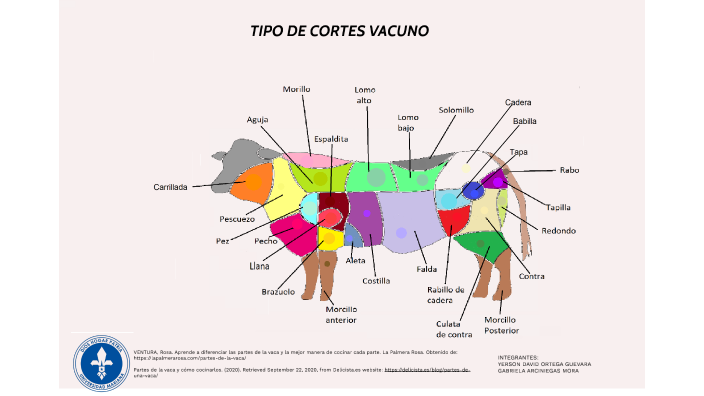 Tipo de cortes de la vaca by GABRIELA ARCINIEGAS MORA on Prezi