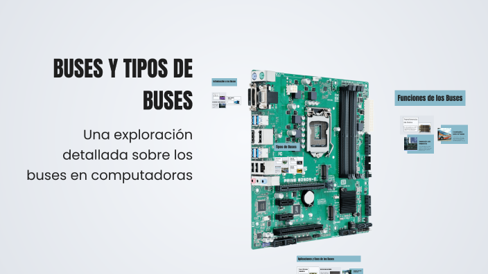 BUSES Y TIPOS DE BUSES by Galilea Arroyo on Prezi