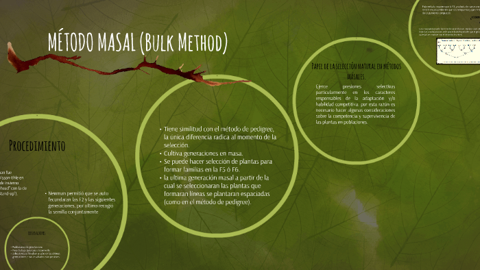 METODO MASAL (Bulk Method) by Didier Alexis Jiménez Díaz on Prezi METODO MASAL (Bulk Method) by Didier Alexis Jiménez Díaz on Prezi