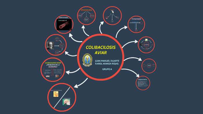 COLIBACILOSIS AVIAR by karol rojas on Prezi