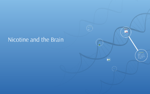 Nicotine and the Brain by on Prezi
