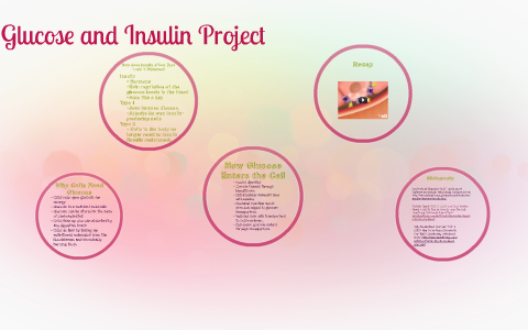 Glucose Insulin Project by emma habisch on Prezi