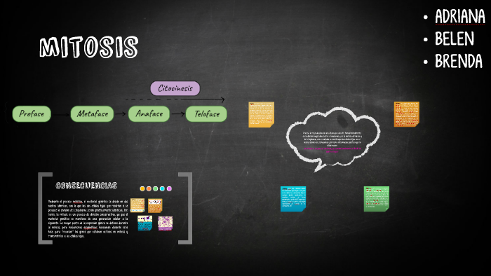mitosis by Bren Alvarez on Prezi
