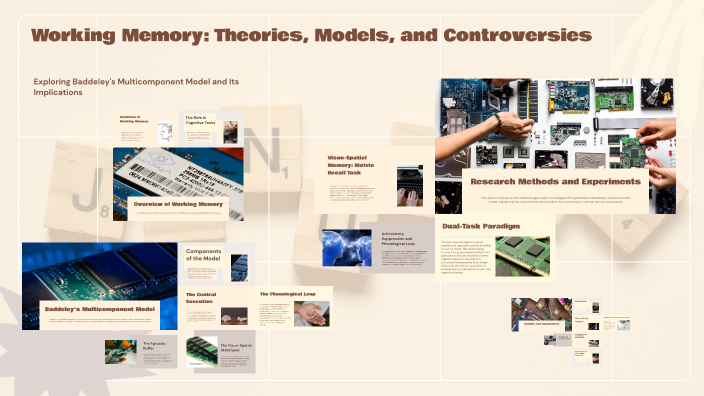 Working Memory: Theories, Models, and Controversies by Yinqi Wang on Prezi
