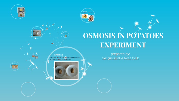 OSMOSIS IN POTATOES EXPERIMENT by Songül Gureli on Prezi