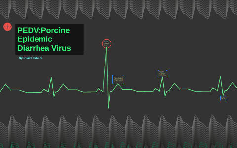 PEDV:Porcine Epidemic Diarrhea Virus by Claire Silvers on Prezi