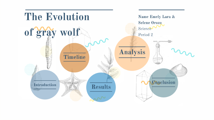 Evolution of Wolves by Emely Lara on Prezi