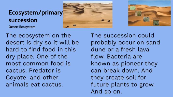 Ecological succession Project by Santhiago Gonzalez Salazar (07) on Prezi