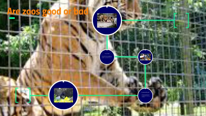 Are zoos good or bad by Fidel Soto on Prezi