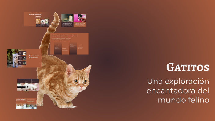 Gatitos by ale sal on Prezi