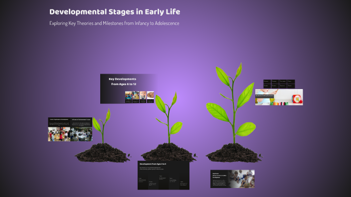 Developmental Stages in Early Life by Maribel Gonzalez on Prezi