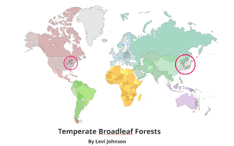 temperate broadleaf forest by ponash spring on Prezi