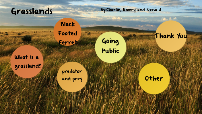 Grasslands by Emery Ellis on Prezi