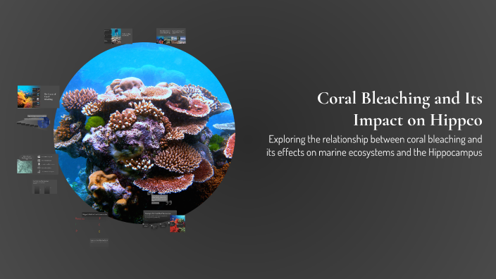 Coral Bleaching and Its Impact on Hippco by Melany Adamcio Beltran on Prezi