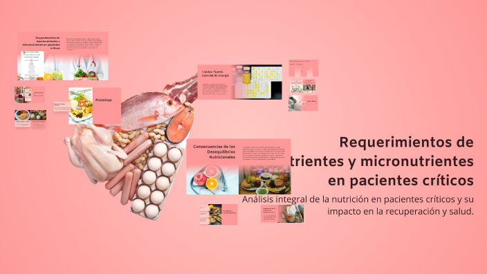 Requerimientos de macronutrientes y micronutrientes en pacientes ...