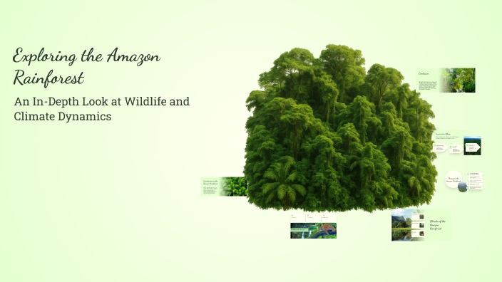 Exploring the Amazon Rainforest by Flip Sanders on Prezi