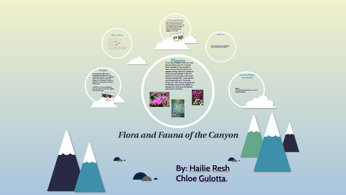 Flora and fauna of the Canyon by hailie resh on Prezi