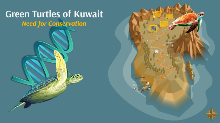 Green Turtles Kuwait by Amani Salim on Prezi
