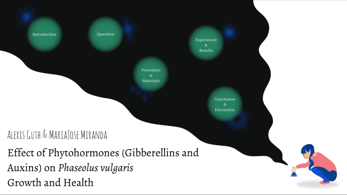 Plant Hormones Presentation by Alexis Guth on Prezi