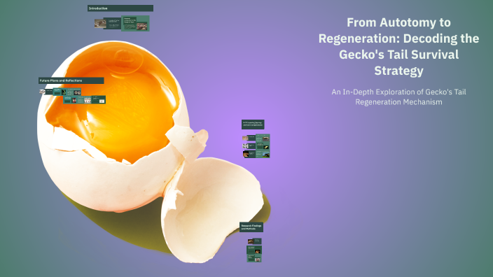 From Autotomy to Regeneration: Decoding the Gecko's Tail Survival ...