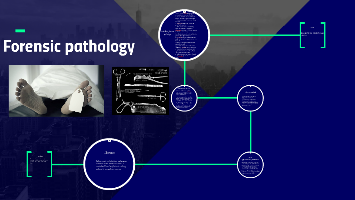Career prezi by cayce jones on Prezi
