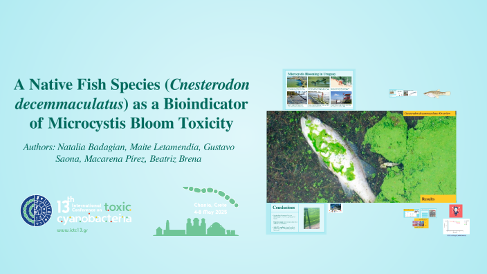 A Native Fish Species (Cnesterodon decemmaculatus) as a Bioindicator of ...