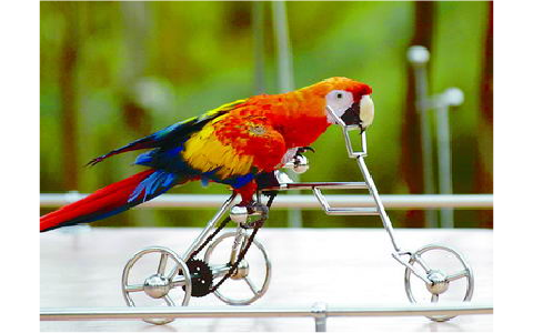 The Making of 'Birds On Bikes': How to Plan a Large Scale Art Project ...