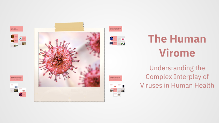 The Human Virome by J K on Prezi