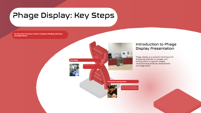 Phage Display: Key Steps by Eli Tom on Prezi