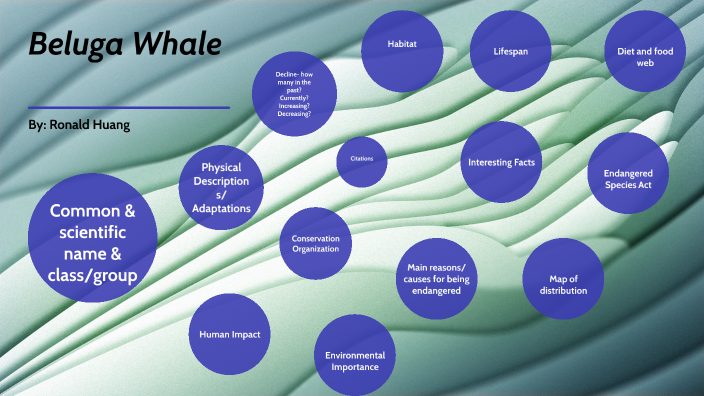 Module Nine Lesson Three Assignment One Part One by Ronald Huang on Prezi Module Nine Lesson Three Assignment One Part One by Ronald Huang on Prezi