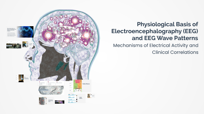 Physiological Basis of Electroencephalography (EEG) and EEG Wave ...