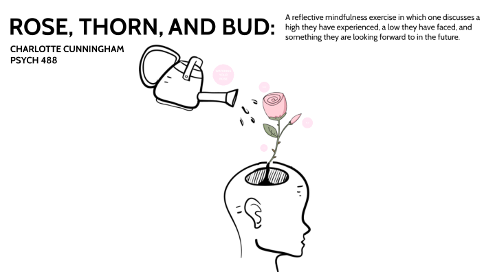 SPOTLIGHT #3: Rose, Thorn, and Bud by charlotte cunningham on Prezi