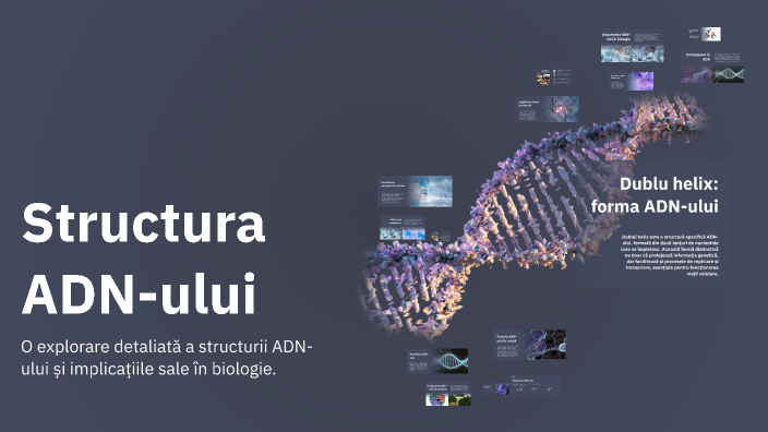 Structura ADN-ului by GabrielAlx on Prezi