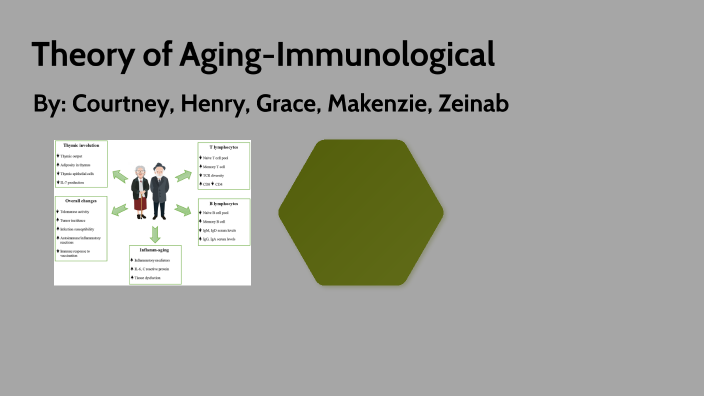 Theory of Aging-Immunological by Courtney D on Prezi