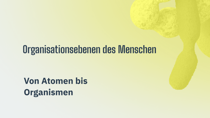 Organisationsebenen des Menschen by Carla on Prezi