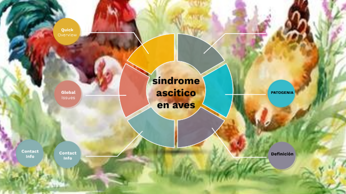 sindrome ascitico by hannia inclan on Prezi