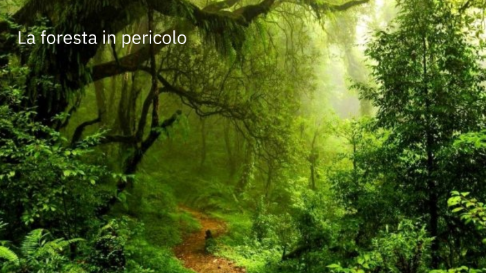 La foresta in pericolo by alex mologni on Prezi
