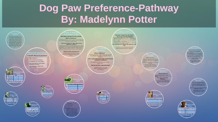 Dog Paw Preference by Maddy Potter on Prezi