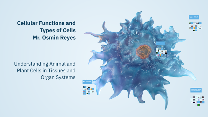 Cellular Functions and Types of Cells by OSMIN REYES on Prezi