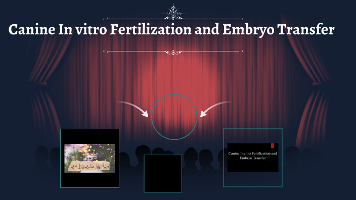 Canine In vitro Fertilization and Embryo Transfer by on Prezi