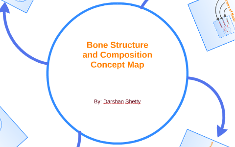 Bone structure and composition concept map (HW7) by Darshan Shetty on Prezi