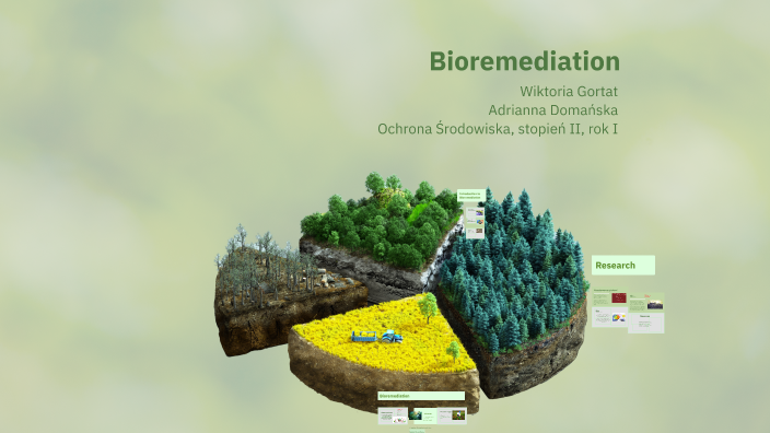 Bioremediation: Harnessing Nature's Power to Clean Our Environment by ...