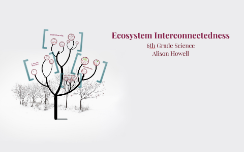 Ecosystem Interconnectedness by Alison Howell on Prezi