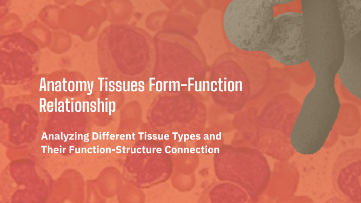 Anatomy of Tissues: Form and Function by Jonilah Morris on Prezi