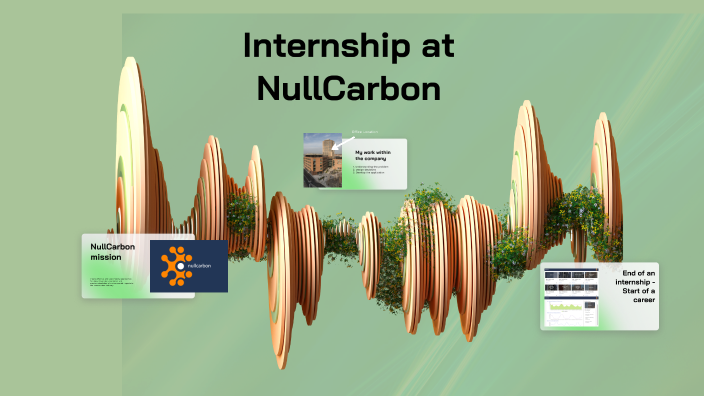 internship by Alex Cimpan on Prezi