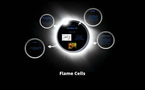 Flame Cells by Emily DiCarlo on Prezi
