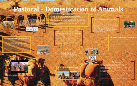 Pastoral - Domestication of Animals by e f on Prezi