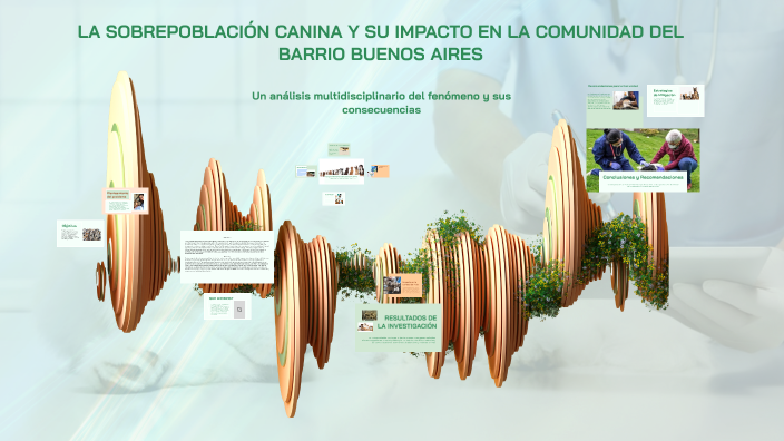LA SOBREPOBLACIÓN CANINA Y SU IMPACTO EN LA COMUNIDAD DEL BARRIO BUENOS ...